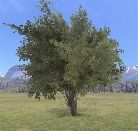 Simple Tree Prefabs XboxEra