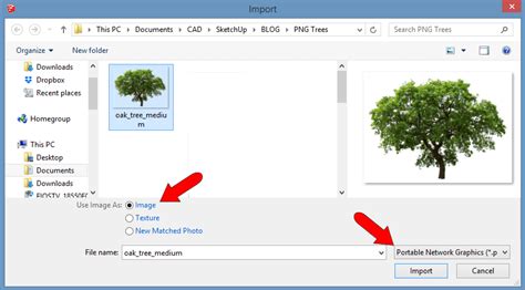 PNG Trees Part 3 Stand Alone Tree Model DanielTal Com
