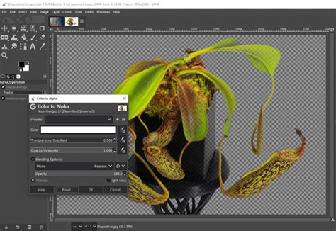 How To Fill An Area With Transparency In GIMP Steps