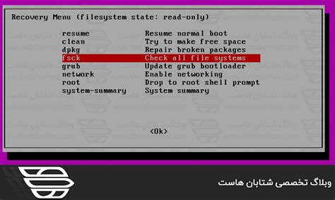 حل مشکل فایل سیستم با استفاده از دستور fsck وبلاگ شتابان هاست
