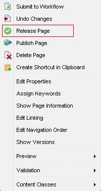 Rdb An Undocumented RenderTag To Enhance Your RedDot CMS Usability Open Text Web Solutions