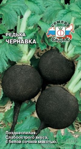 Редька Чернавка 1г