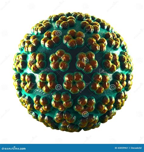 Papilloma Virus Hpv Isolated On White Stock Illustration Illustration Of Particle Doctor