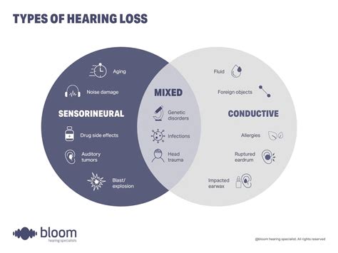 Age Related Hearing Loss Aging And Hearing Loss Explained