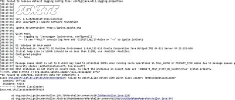 Ignite Tomee Webprofile 710 Start Error Reporting At Tomee Stack