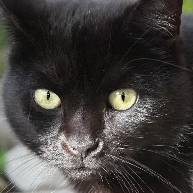 Lina Romay El Miron Y La Exhibicionista Free Hd Porn C Xhamster