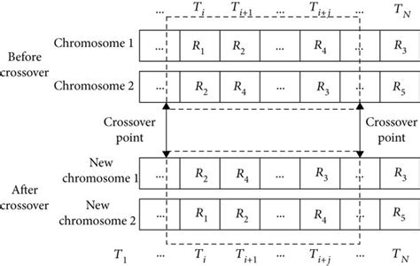 An Example Of Crossover Of Two Chromosomes Download Scientific Diagram