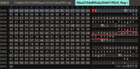 nssctf misc —[广东强网杯 2021 团队组]zip revenge [hitctf 2021]zip csdn博客