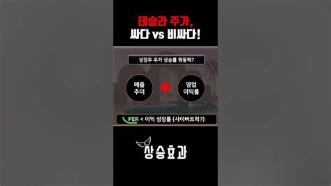 테슬라 주가 싸다 Vs 비싸다 Youtube