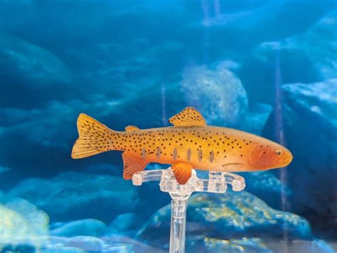 Greenback Cutthroat Trout 3″ Figure By Replica Toy Fish Animal Toy Blog