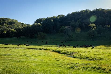 Sample Resource Grassland 20