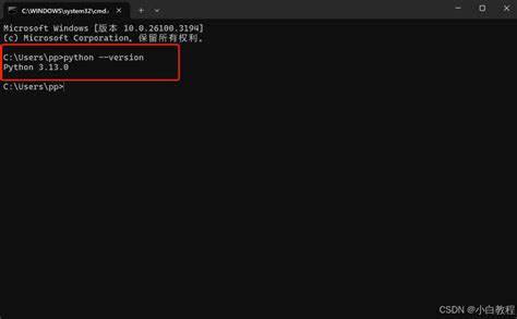 Python313安装教程（附安装包），【2025】python313安装图文教程 小学生学it 博客园