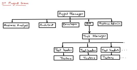 roles of test leader and test manager in software testing process of it