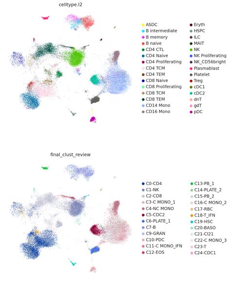 Cite Seq Reference Mapping With Totalvi — Scvi Tools