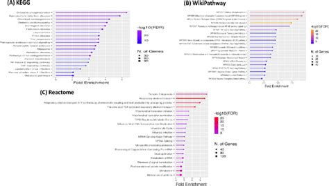 Informative Pathway Identification Of Common Degs No Of Genes