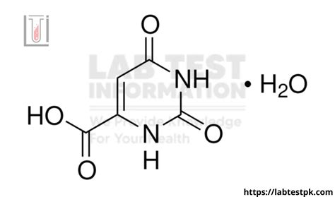Orotic Acid