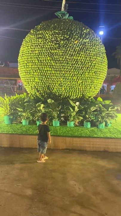 ផ្លែក្រូច Youtube