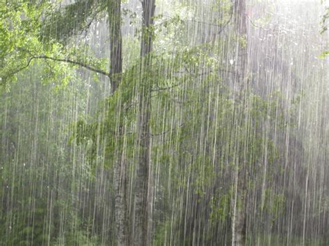 Enjoy camping even if it rains | RVwest