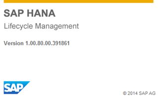 SQL Script Tutorial In SAP HANA
