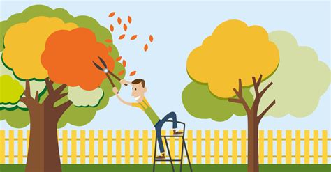 Pruning Your Mature Tree Trees SA Large Indigenous Exotic Trees In South Africa