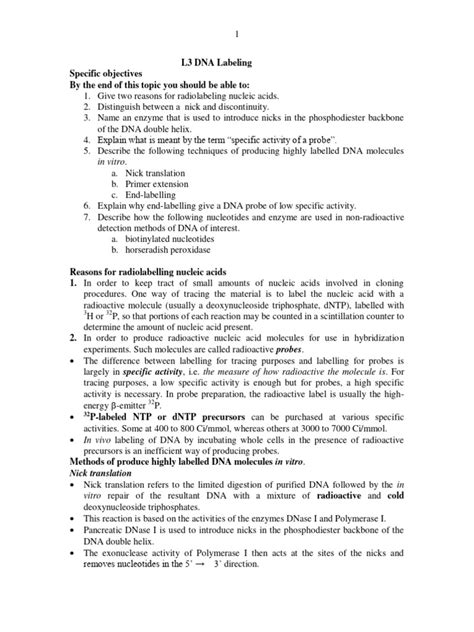 L3 Dna Labelling Pdf Dna Nucleotides