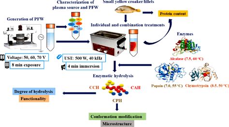 Schematic Representation Of Experimental Procedure Download
