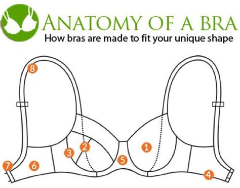 Awesome Easy Bra Hacks 12thBlog