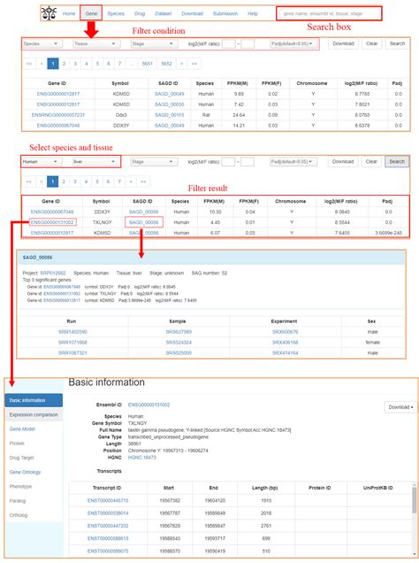 Database Of Sex Associated Genes