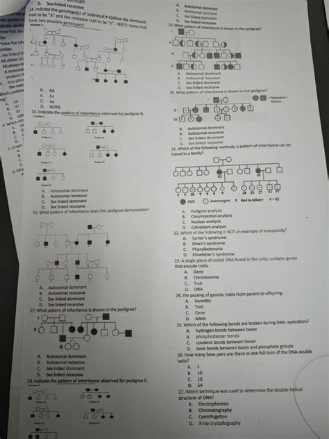 D Sex Linked Recessive 14 Indicate The Studyx