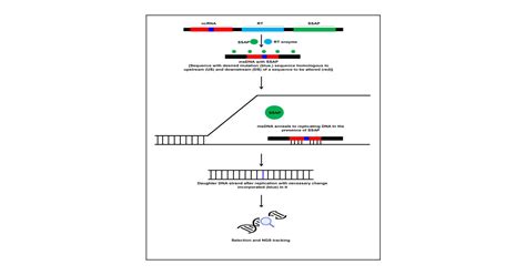 Retron Library Recombineering Next Powerful Tool For Genome Editing After Crisprcas Acs