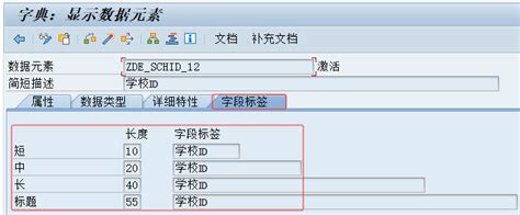 Sap Abap 数据字典sap 数据字典 Csdn博客