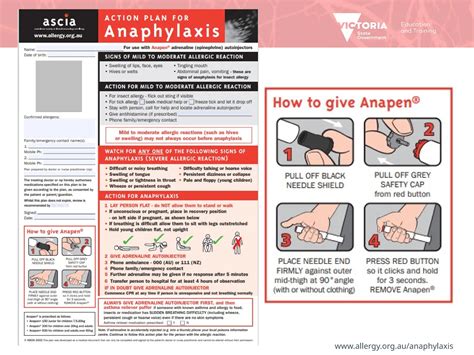 Anaphylaxis Management Briefing Presentation 1 Pptx