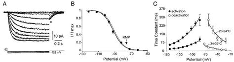 Voltage And Temperature Dependence Of I H Gating And Kinetics
