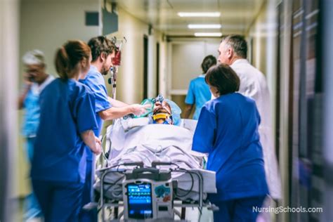Trauma Nurse Career Education Salary Duties