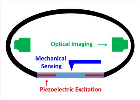 Schematic Of Proposed Enhanced Endoscopy Pill The Design Is Based On Download Scientific