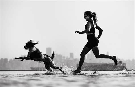30 Gorgeous Winning Photos Of The Dog Photographer of The Year 2023