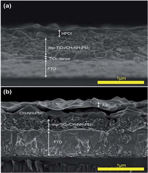 A And B Shows Cross Sectional Scanning Electron Microscopy Image Of Download Scientific