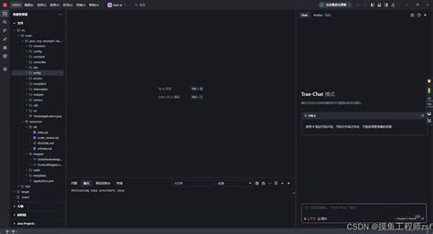 java开发 ai编程（简单使用） trae运行java项目 csdn博客