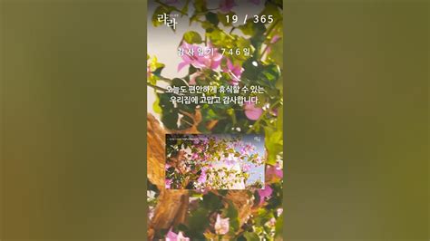 감사일기 746일 한 치 앞도 모르는 매일 매일을 잘 보내고 있어 감사합니다감사일기 매일 감사로시작하는365 감사영상 감사 나와의약속 자기사랑 Youtube