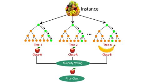 Random Forest Algorithm In Machine Learning