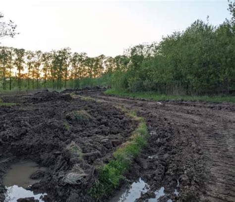 Экология новости фото видео — Новости Хабаровска