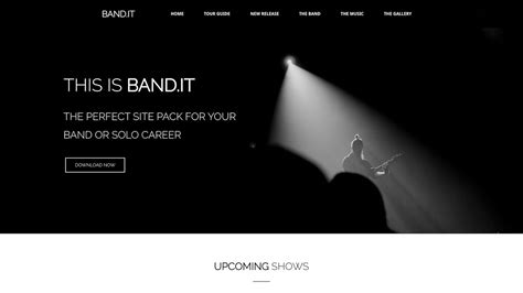 Free Prebuilt Wordpress Website Template For Musicians And Bands