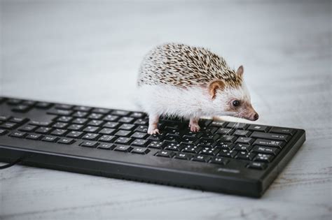 Excel Vba Ucase関数の使い方とアルファベットの小文字を大文字に変換する やさしいexcelvba