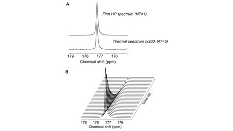 A The reaction of the molecular probe γ Glu 1 13 C Gly through the γ glutamyl transferase