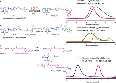 Synthesis Of Block Copolymers A Synthesis Of P13 B Ps Diblock Download Scientific Diagram