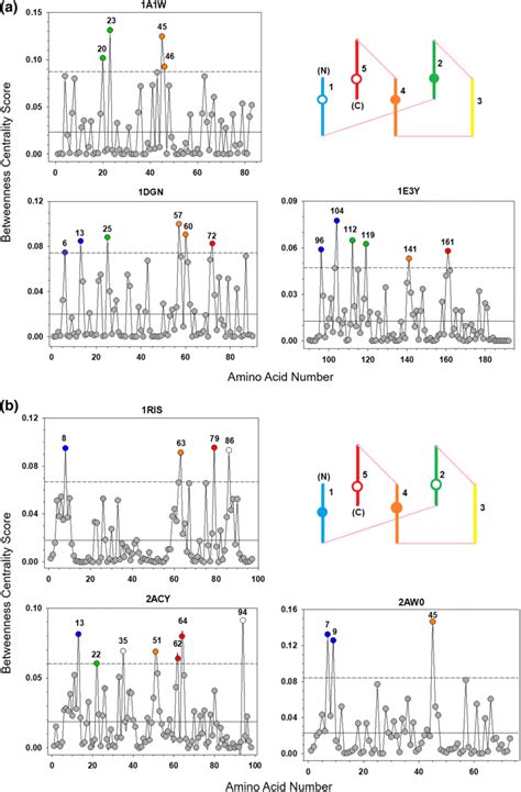Betweeness Centrality Analysis A Death Domains 1a1w 1dgn 1e3y B Download Scientific