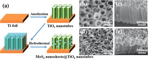 A Schematic Illustration Of The Preparation Process Of Tio2 Nanotubes Download Scientific