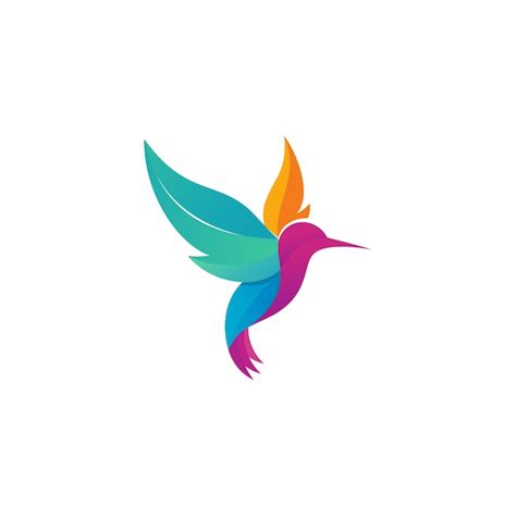 Premium Vector Modern Colorful Hummingbird Logo