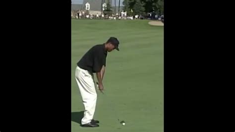 이미지 트레이닝｜20세 타이거우즈 스윙 슬로우모션 1시간 반복 Youtube