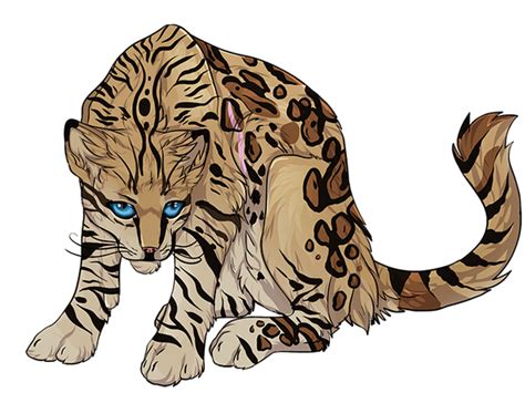 Ocelot By MapleSpyder On DeviantArt